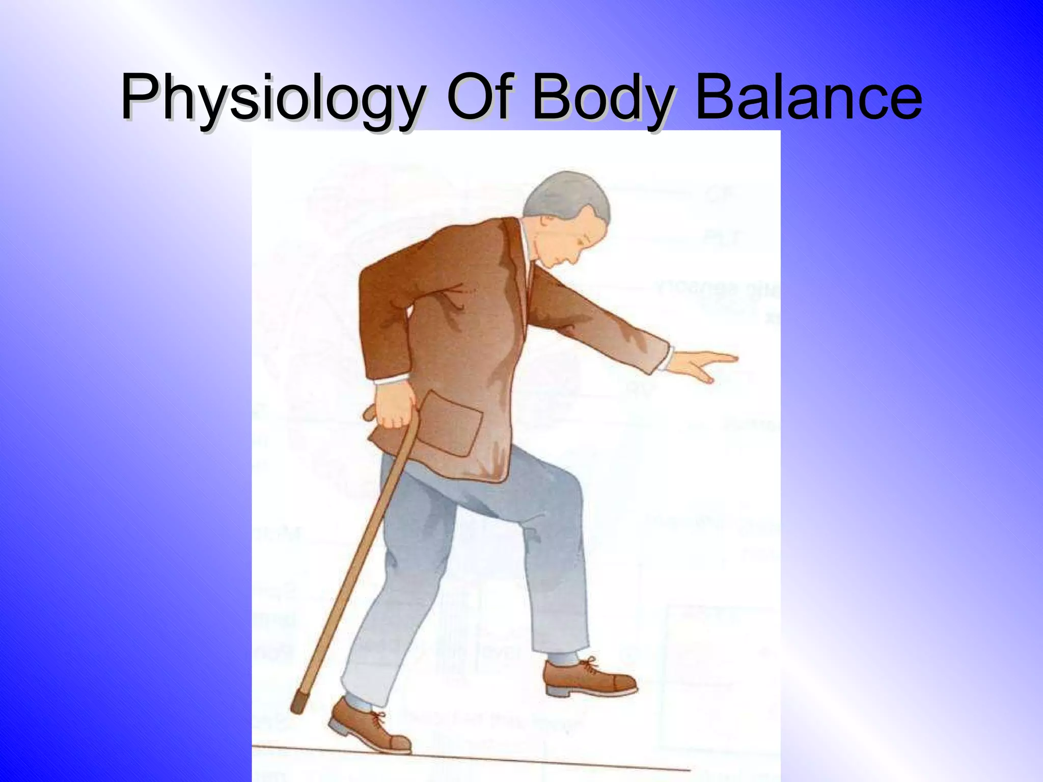 Physiology of equilibrium & balance | PPT