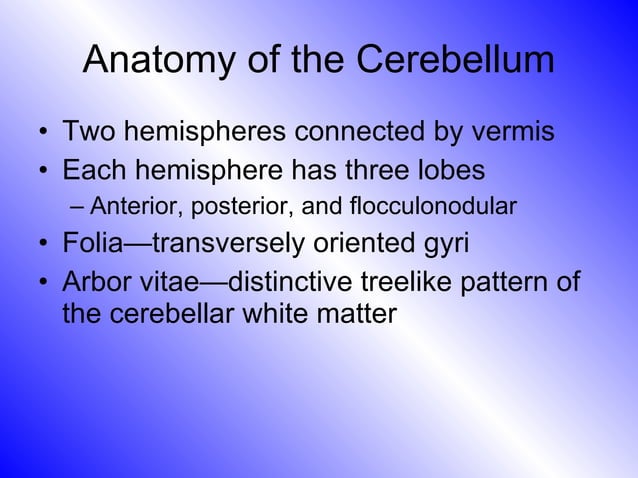 Physiology of equilibrium & balance | PPT | Brain and Nervous System ...