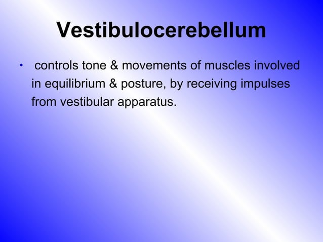 Physiology of equilibrium & balance | PPT | Brain and Nervous System ...