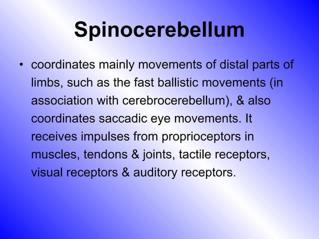 Physiology of equilibrium & balance | PPT | Brain and Nervous System ...