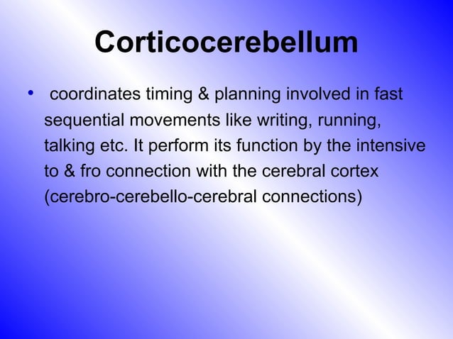 Physiology of equilibrium & balance | PPT | Brain and Nervous System ...