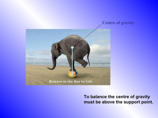 Physiology of equilibrium & balance | PPT | Brain and Nervous System ...