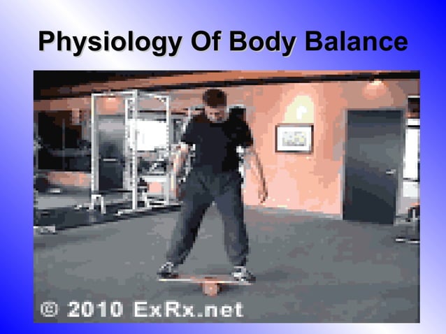 Physiology of equilibrium & balance | PPT | Brain and Nervous System ...