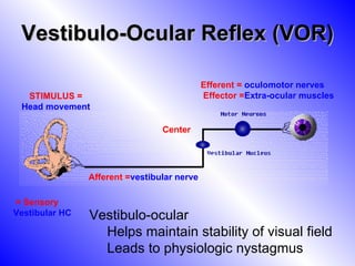 Physiology of equilibrium & balance | PPT