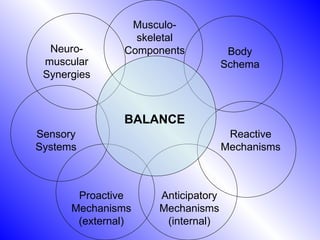 Physiology of equilibrium & balance | PPT
