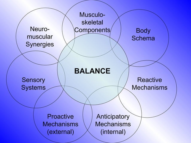 Physiology of equilibrium & balance | PPT | Brain and Nervous System ...