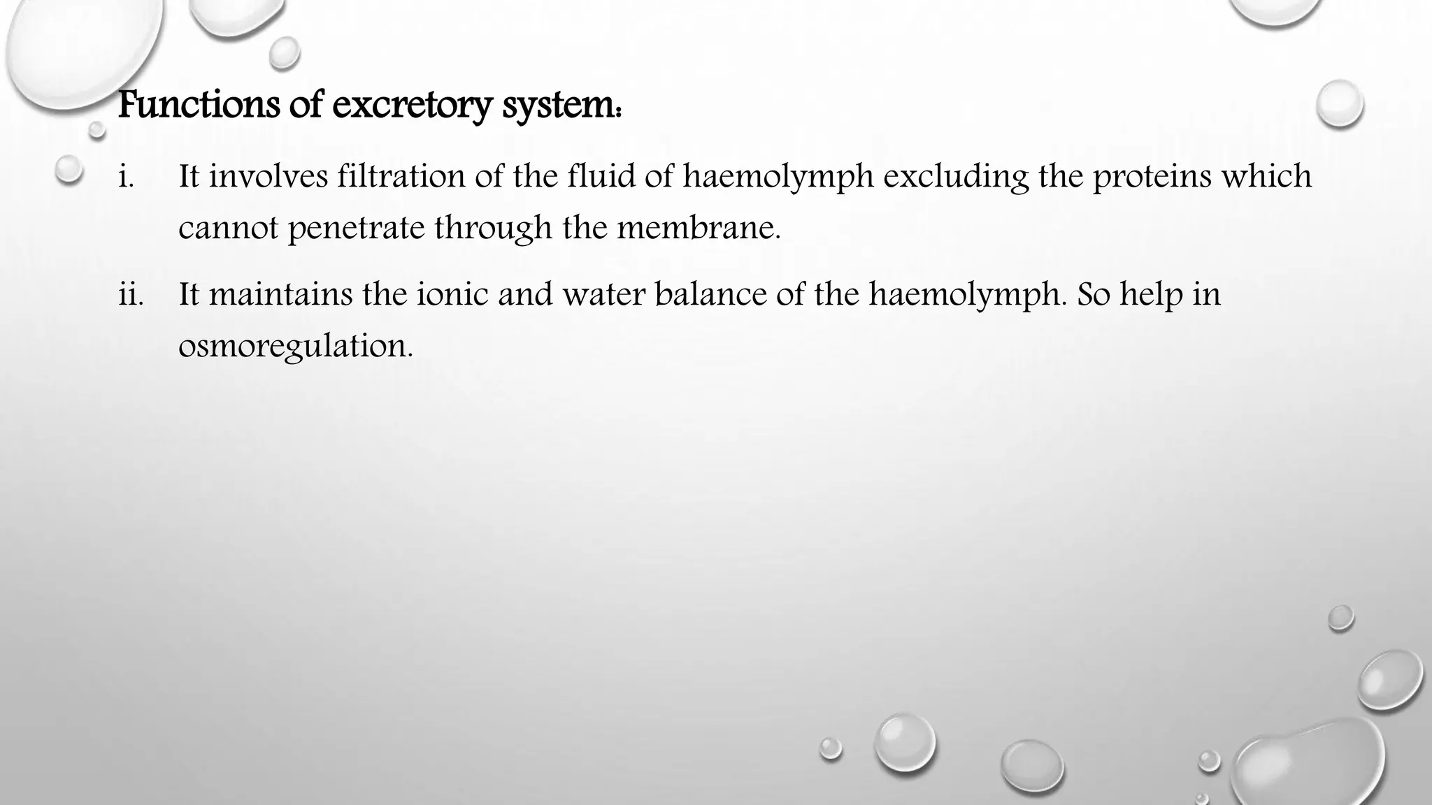 Physiology of excretion in insects | PPTX