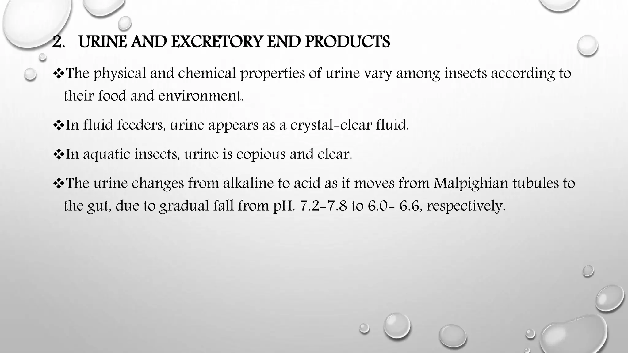 Physiology of excretion in insects | PPTX