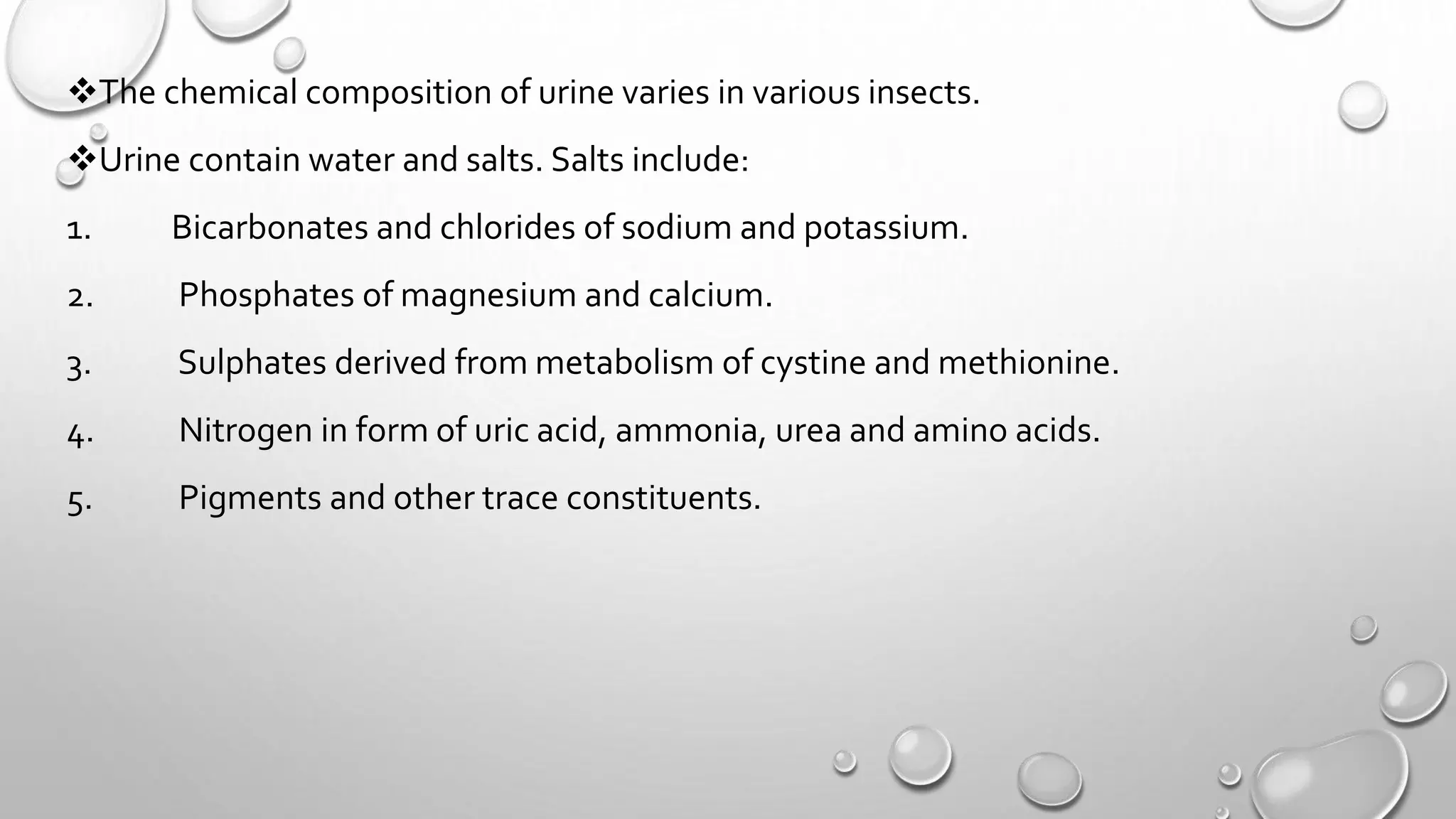 Physiology of excretion in insects | PPTX