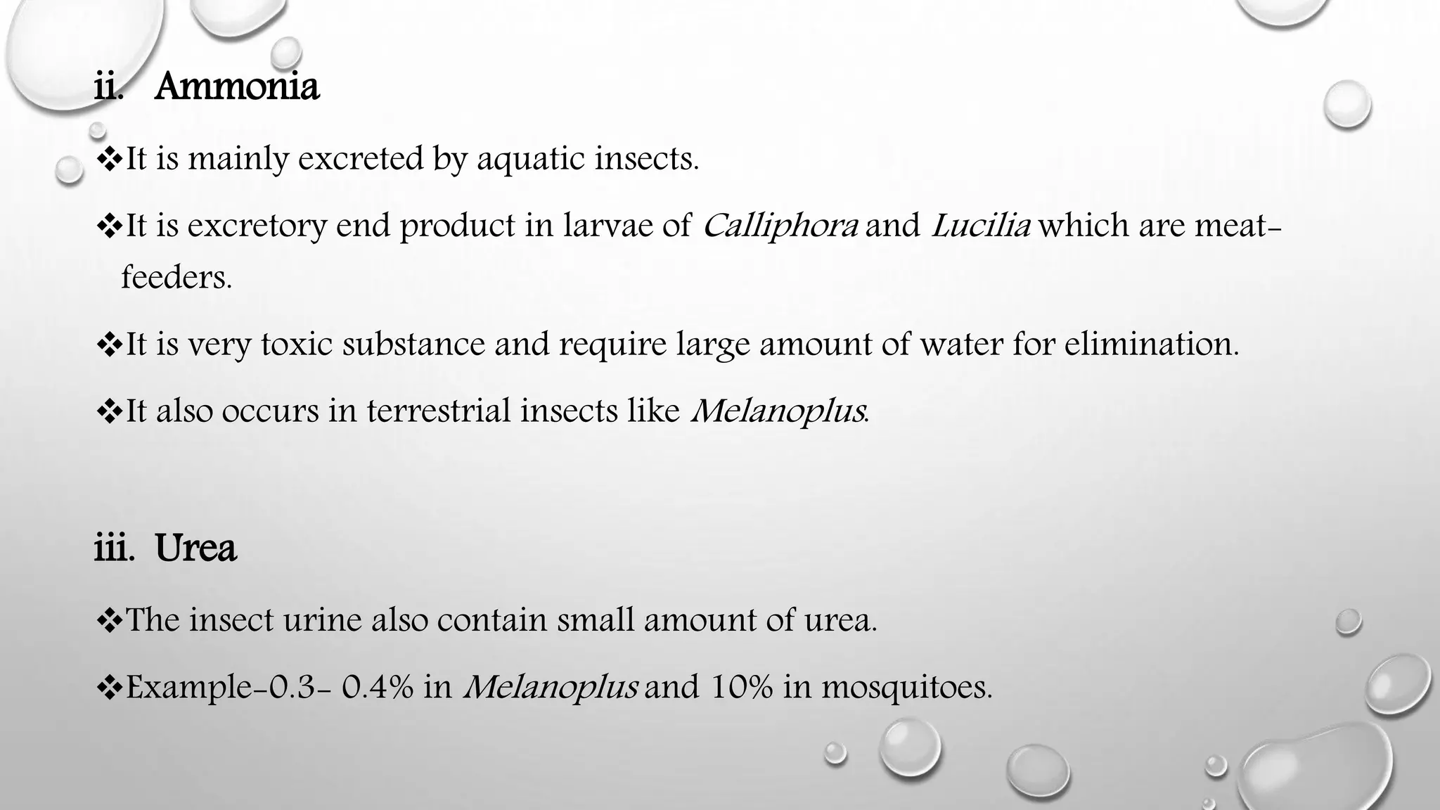 Physiology of excretion in insects | PPTX