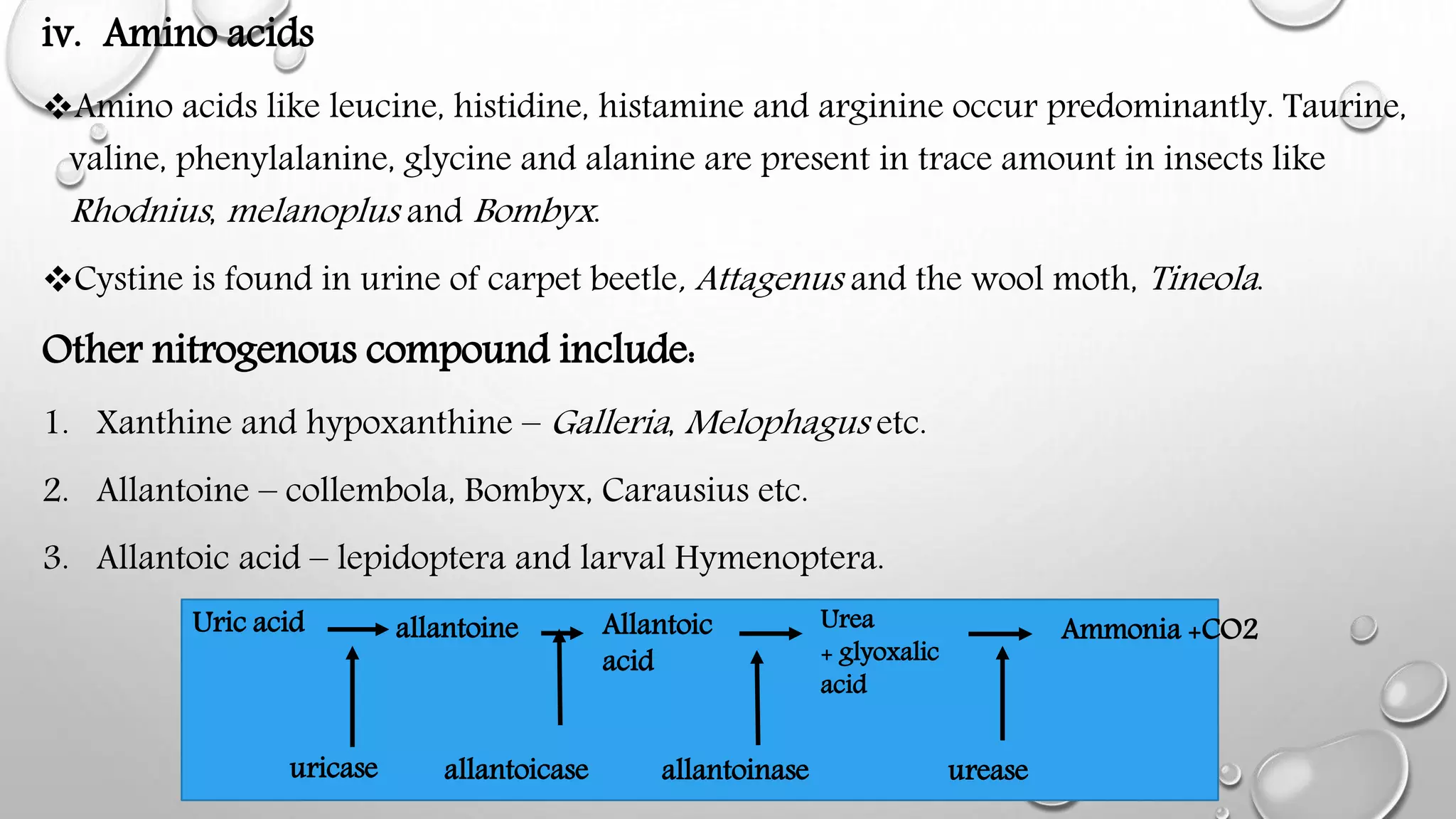 Physiology of excretion in insects | PPTX