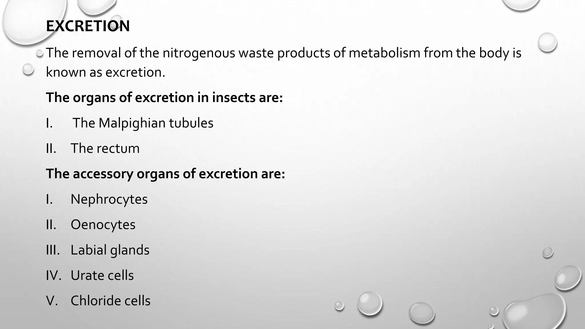 Physiology of excretion in insects | PPTX