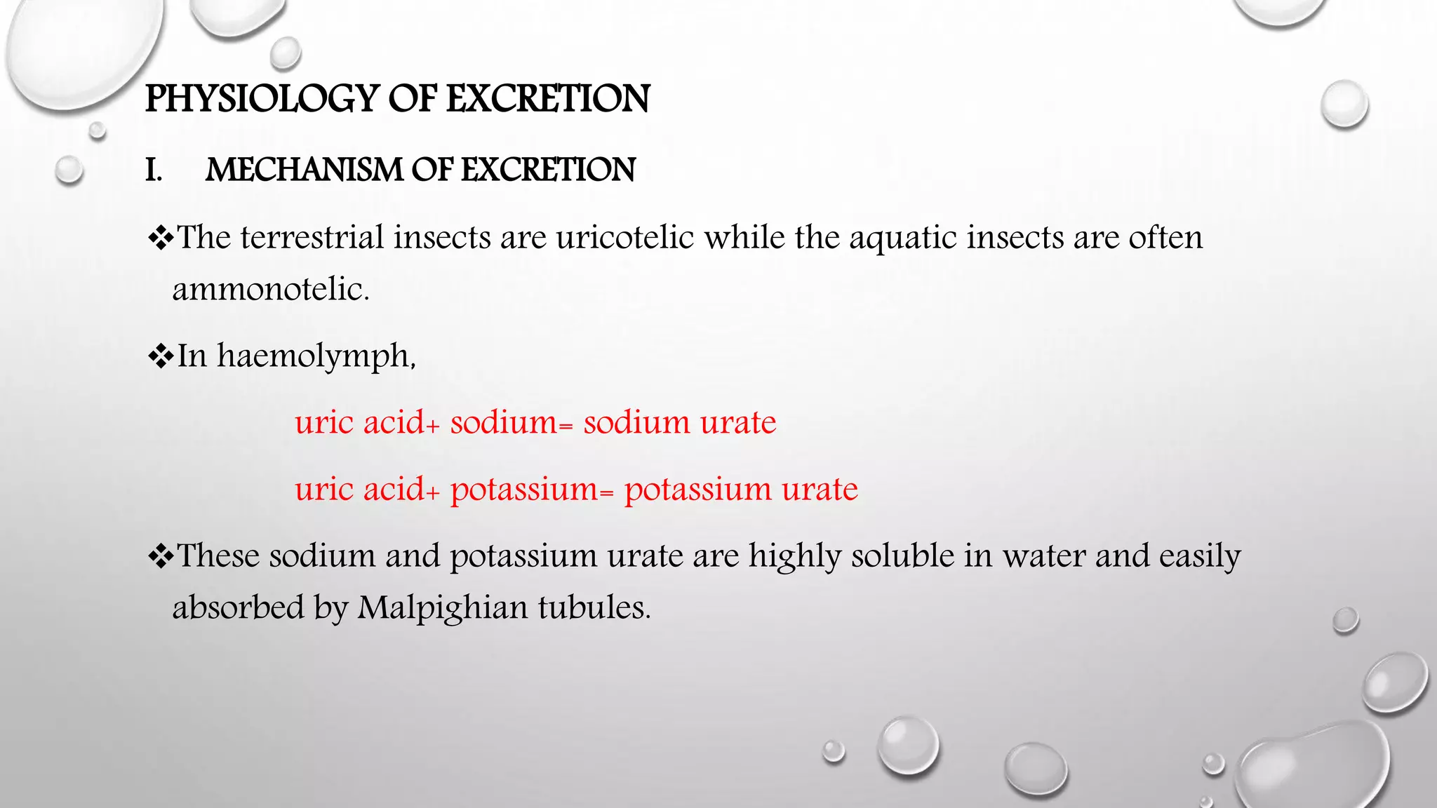 Physiology of excretion in insects | PPTX