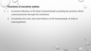 Physiology of excretion in insects | PPTX