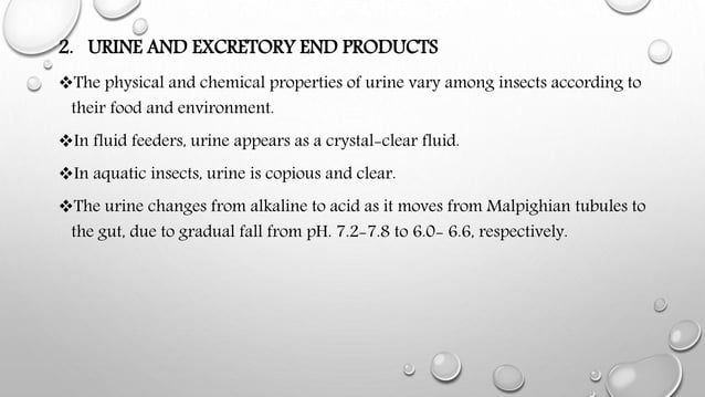 Physiology of excretion in insects | PPTX