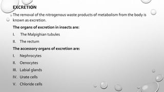 Physiology of excretion in insects | PPTX