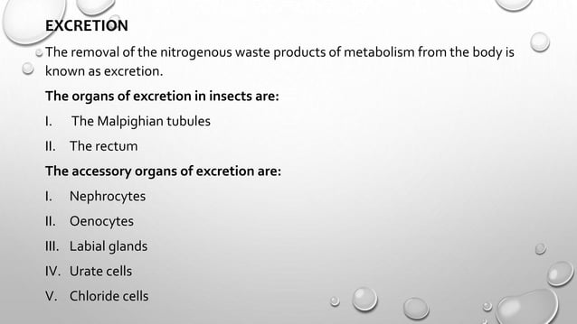 Physiology of excretion in insects | PPTX