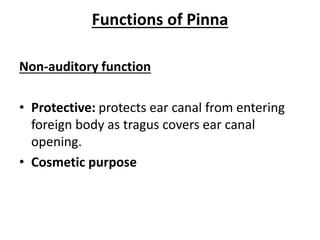 Physiology of external ear.pptx