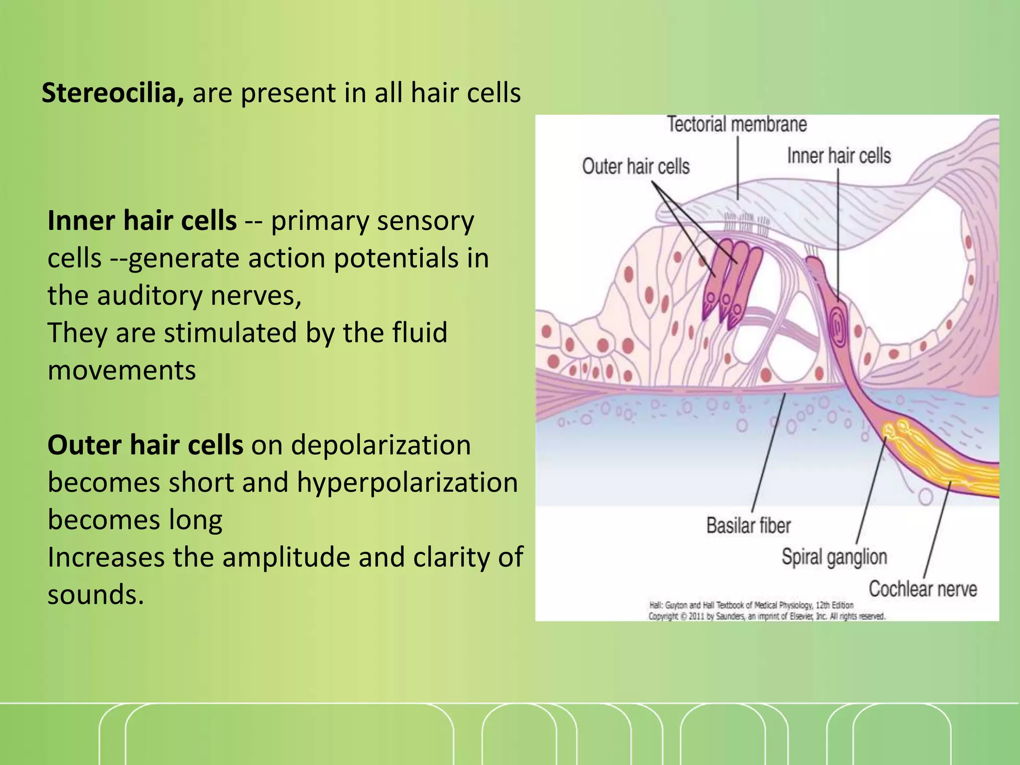Physiology of external, middle and inner ear | PPTX