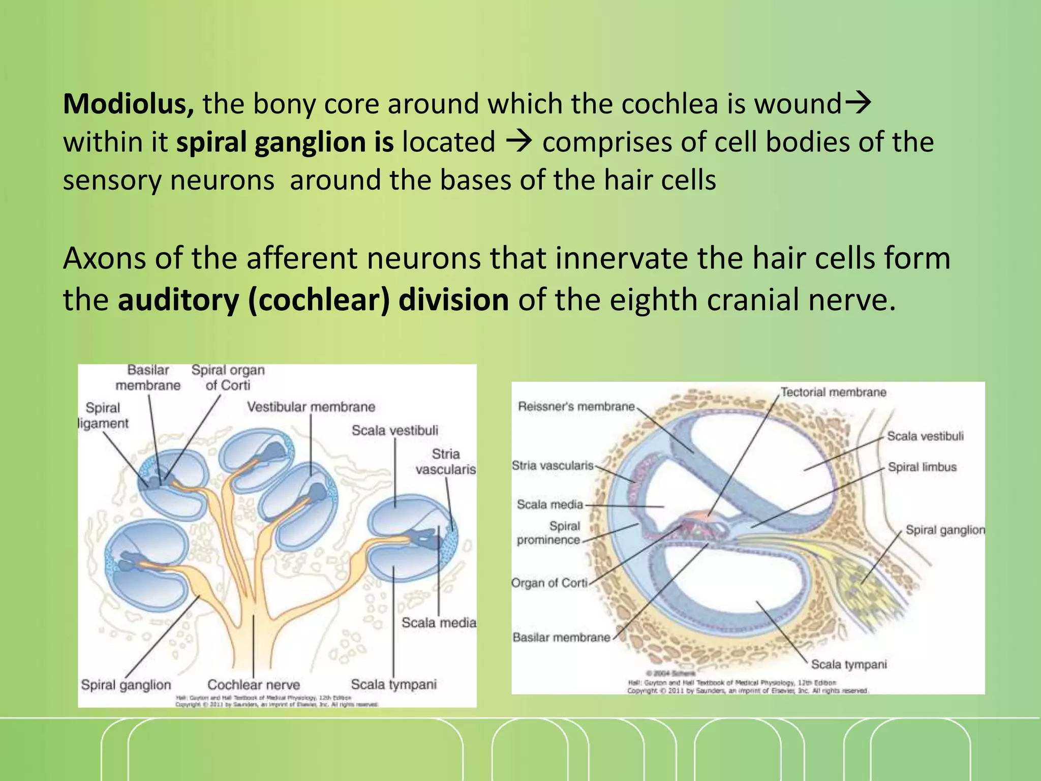 Physiology of external, middle and inner ear | PPTX
