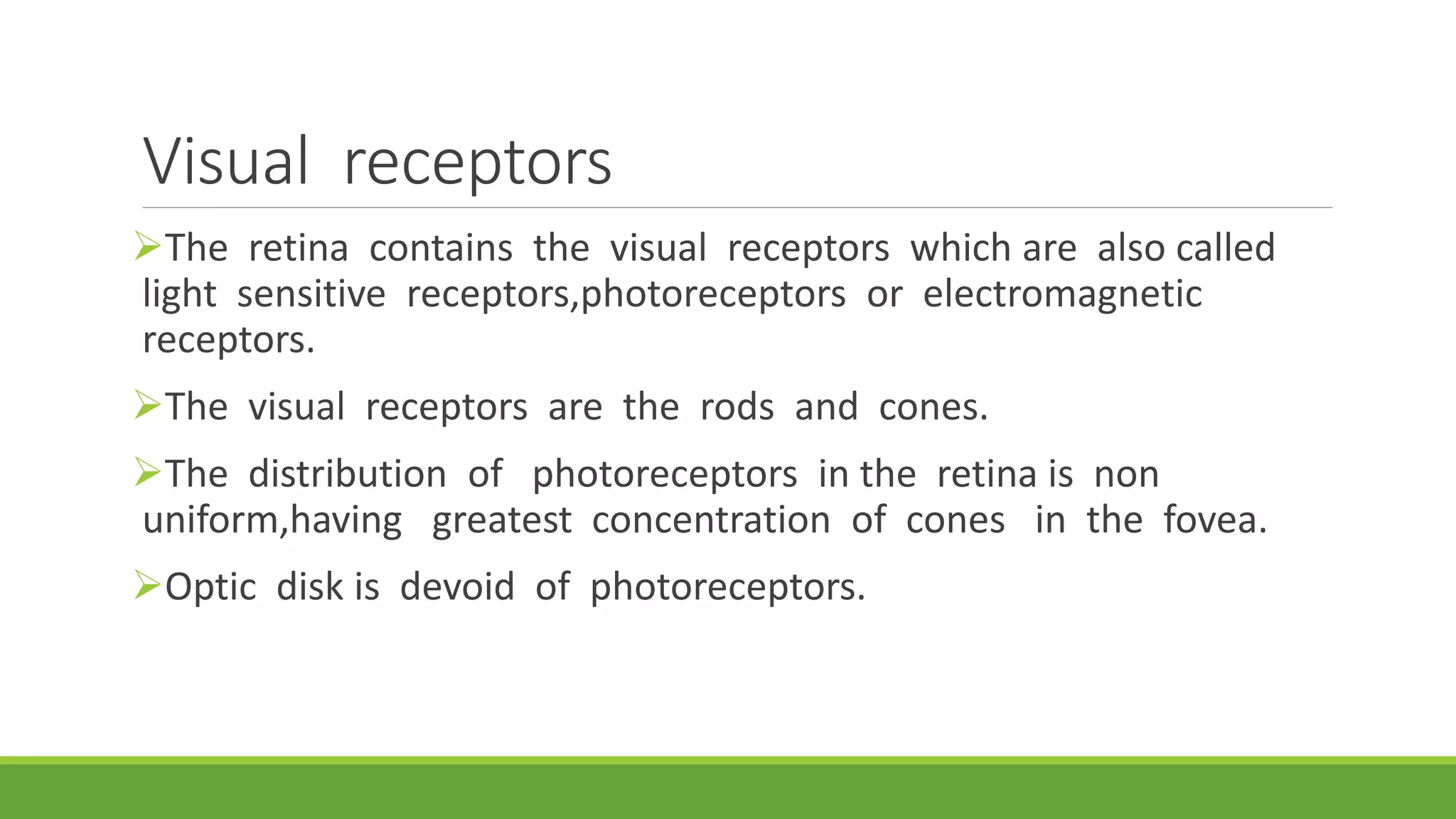 Physiology of eye | PPTX