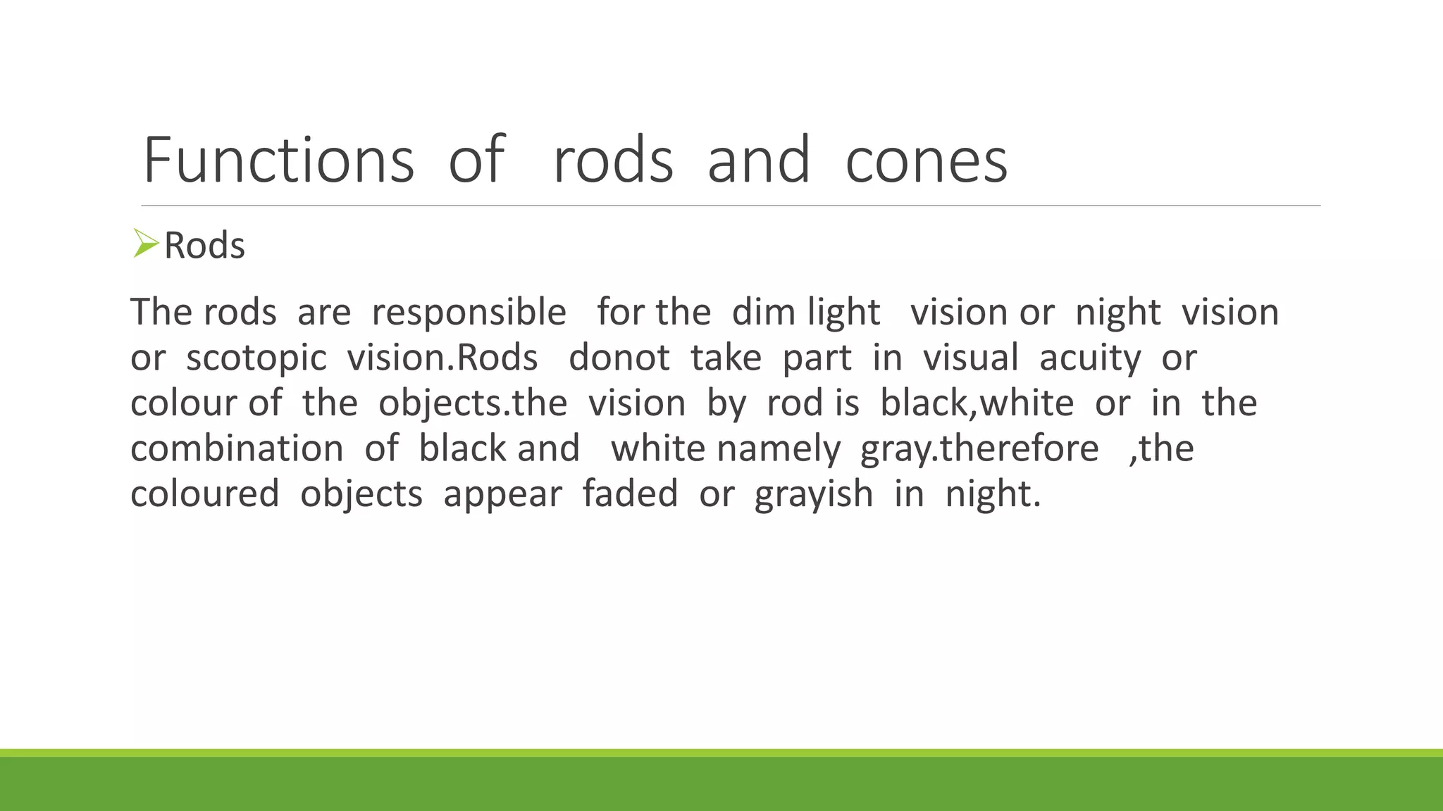 Physiology of eye | PPTX