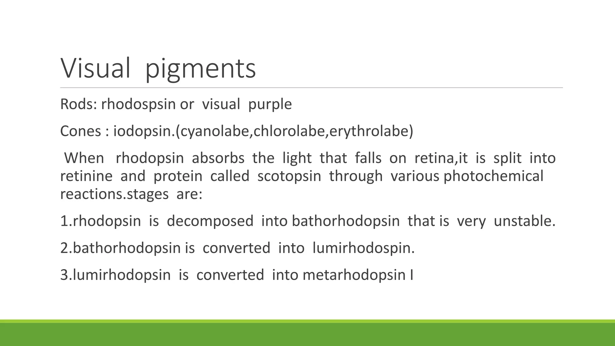 Physiology of eye | PPTX