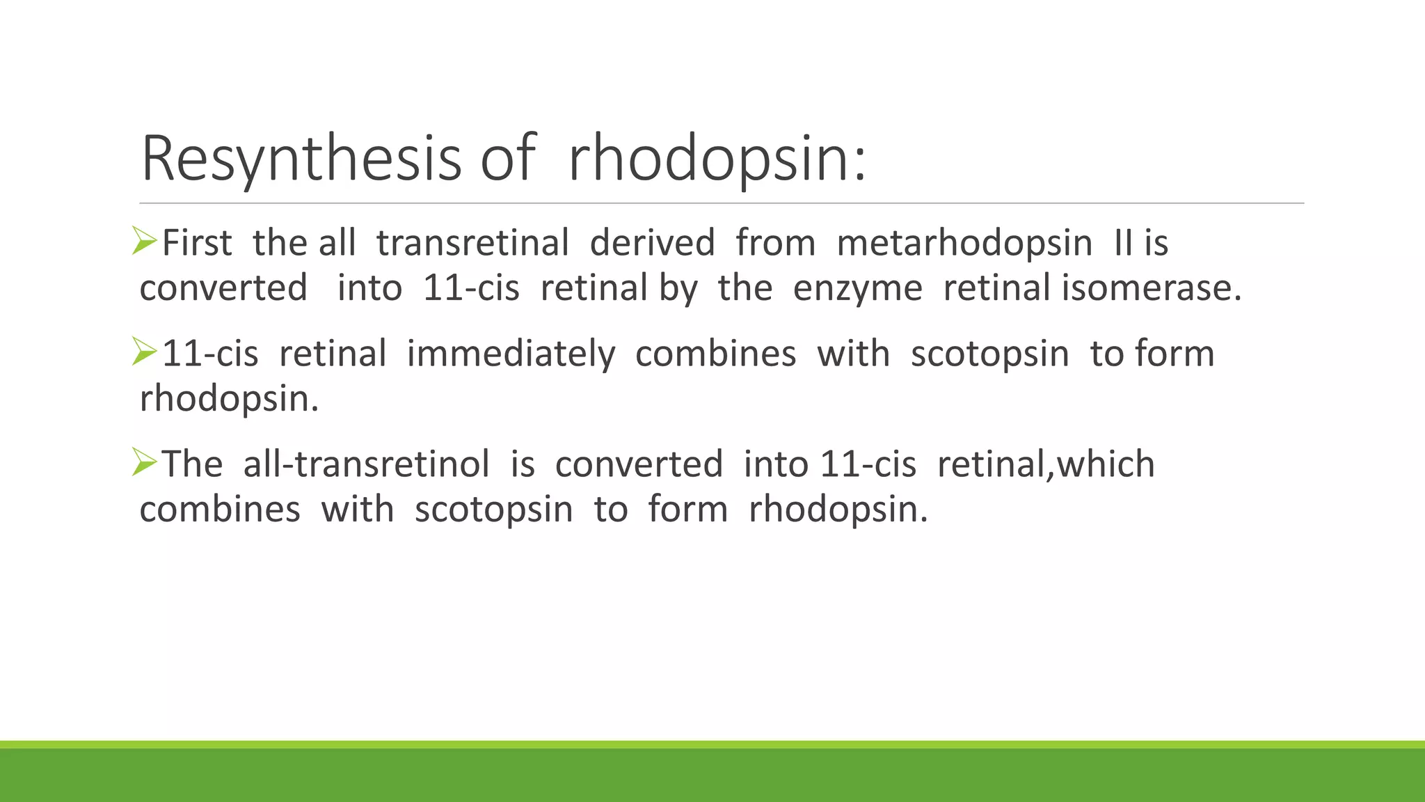 Physiology of eye | PPTX