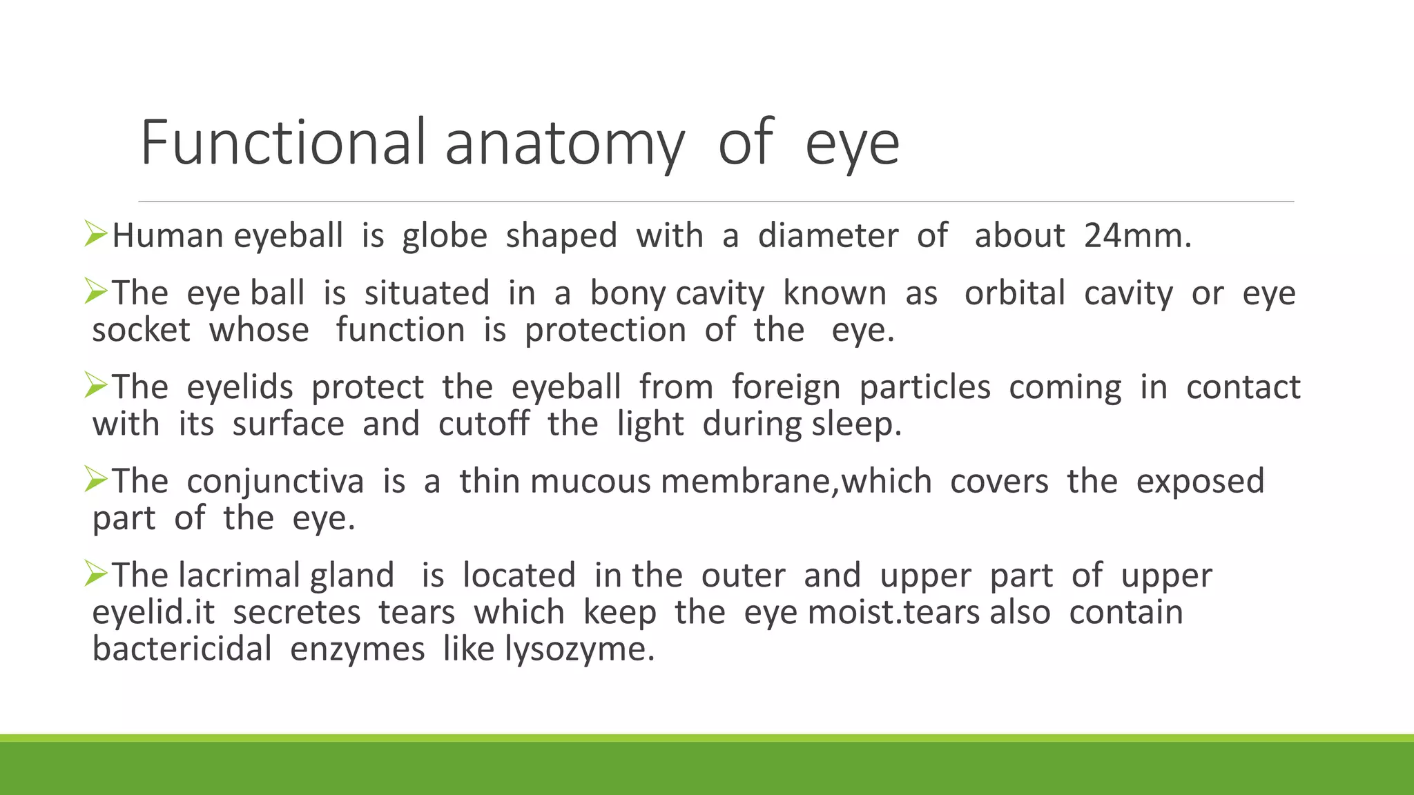 Physiology of eye | PPTX