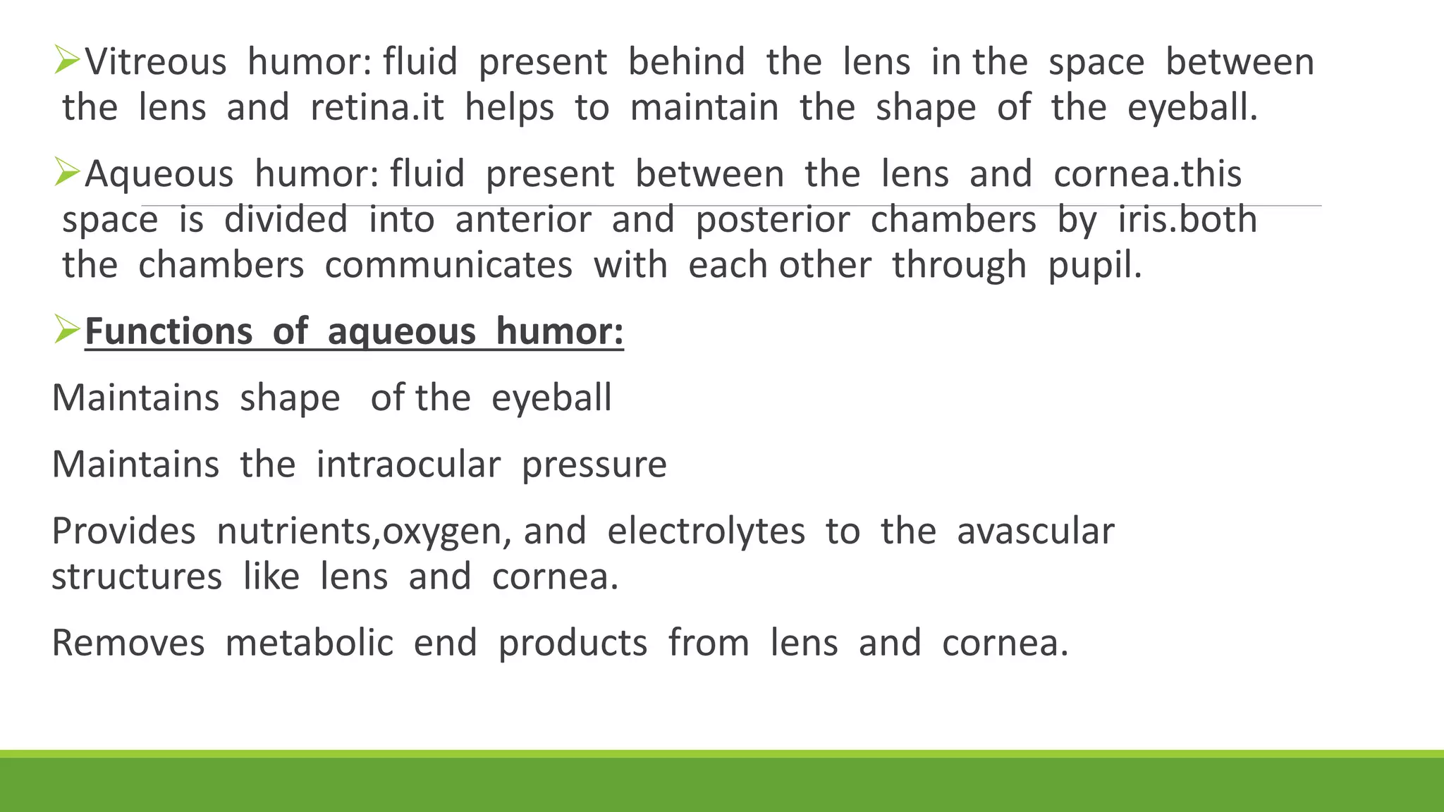 Physiology of eye | PPTX