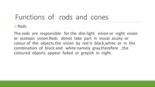 Physiology of eye | PPTX