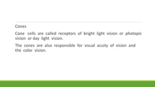 Physiology of eye | PPTX
