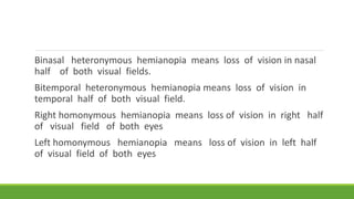 Physiology of eye | PPTX