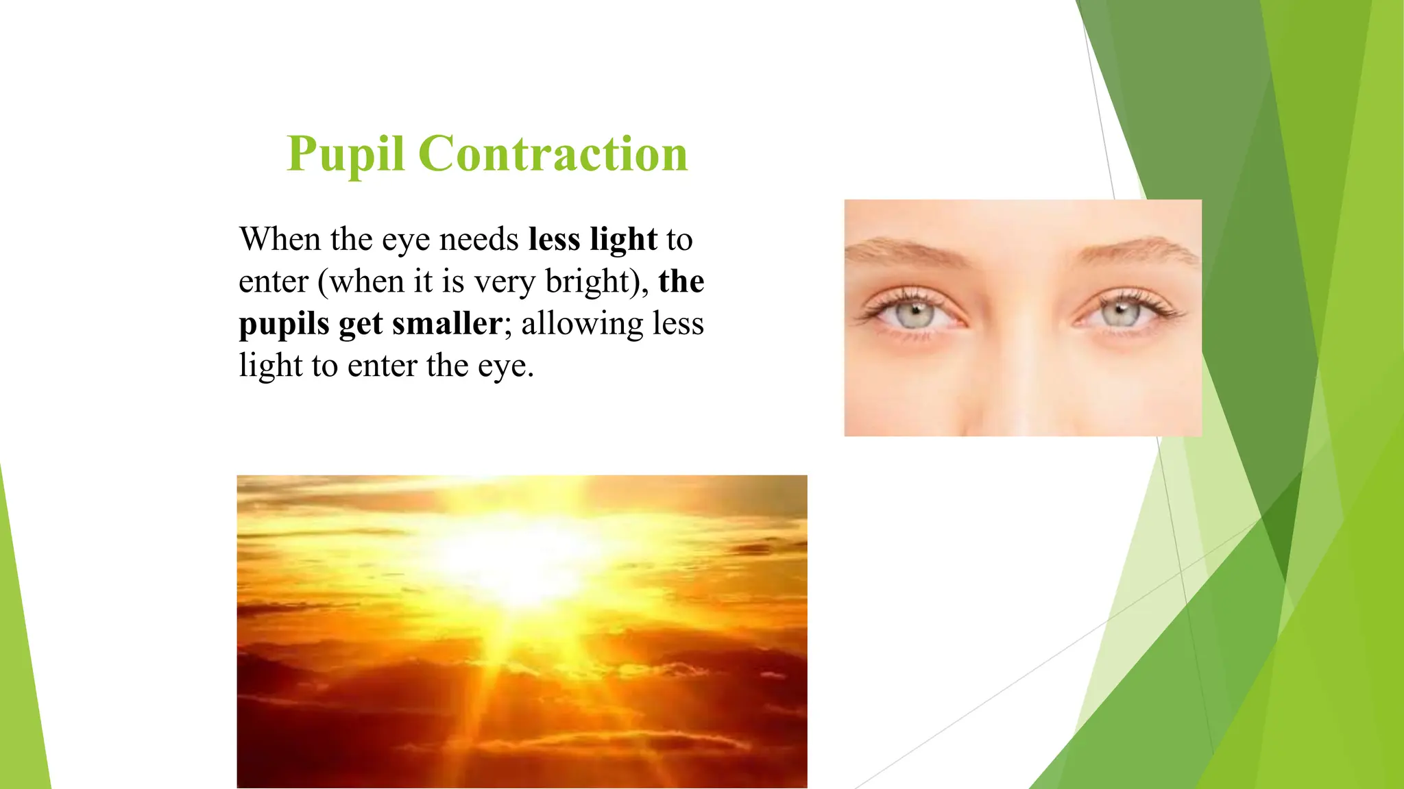 PHYSIOLOGY OF EYE.pptx