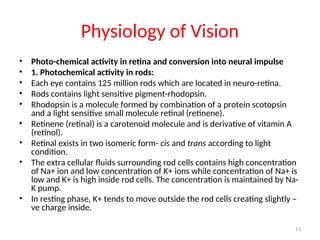 physiology of eye.ppt visual processsing | PPT
