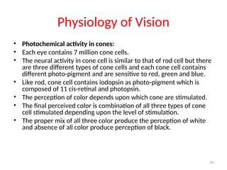 physiology of eye.ppt visual processsing | PPT