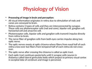 physiology of eye.ppt visual processsing | PPT