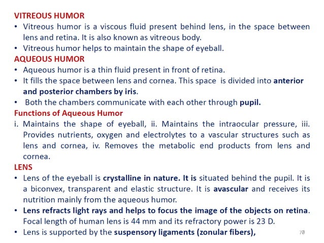 physiology of eye.ppt visual processsing | PPT