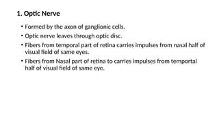 physiology of eye ( D batch ).pptx examinations | PPT
