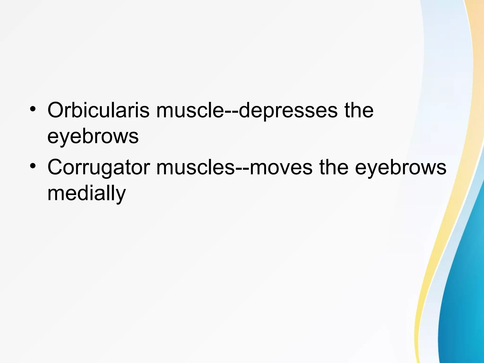 Physiology of eyelids and eyebrows | PPT