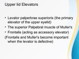 Physiology of eyelids and eyebrows | PPT