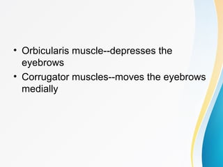 Physiology of eyelids and eyebrows | PPT