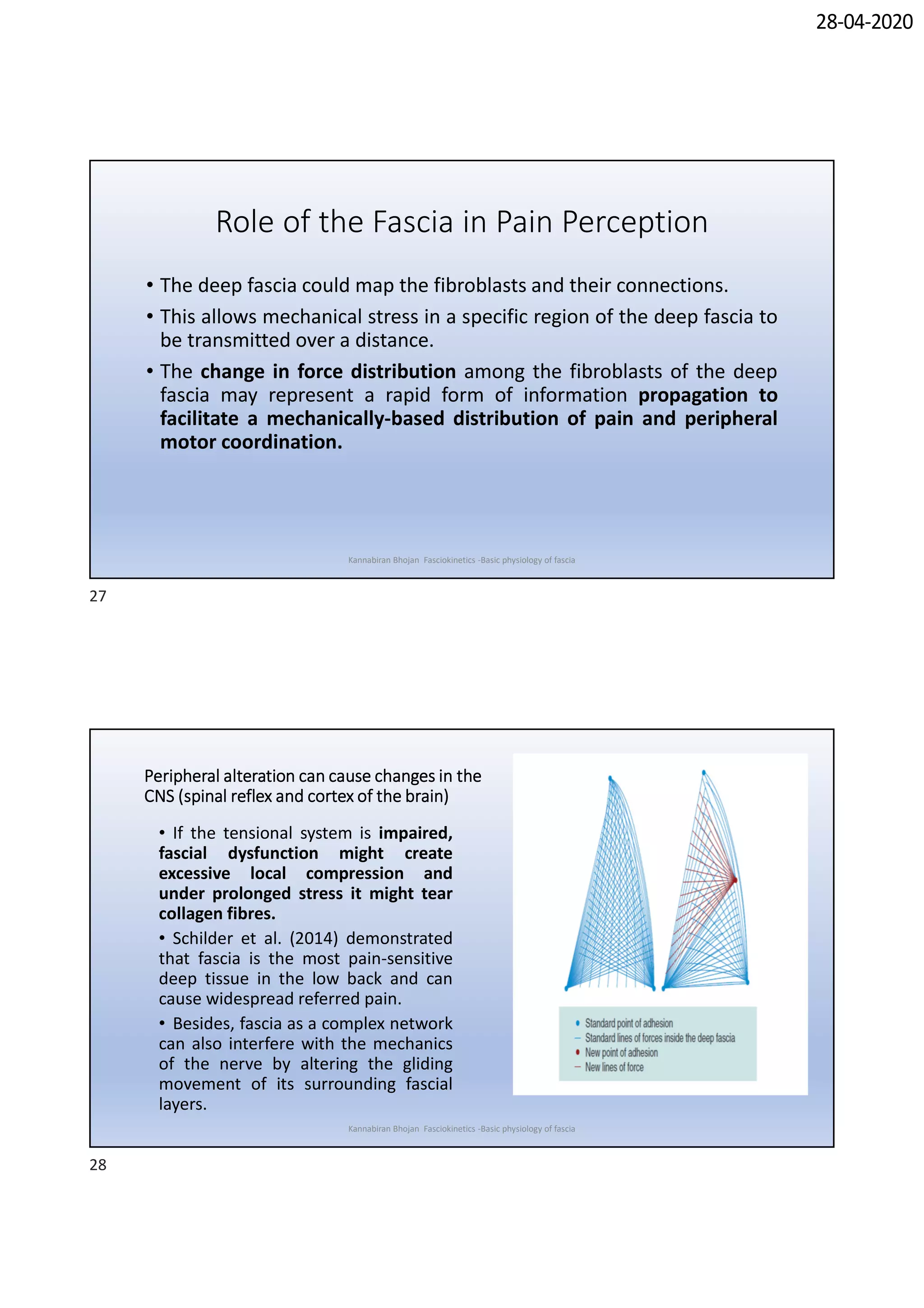 Physiology of fascia | PDF