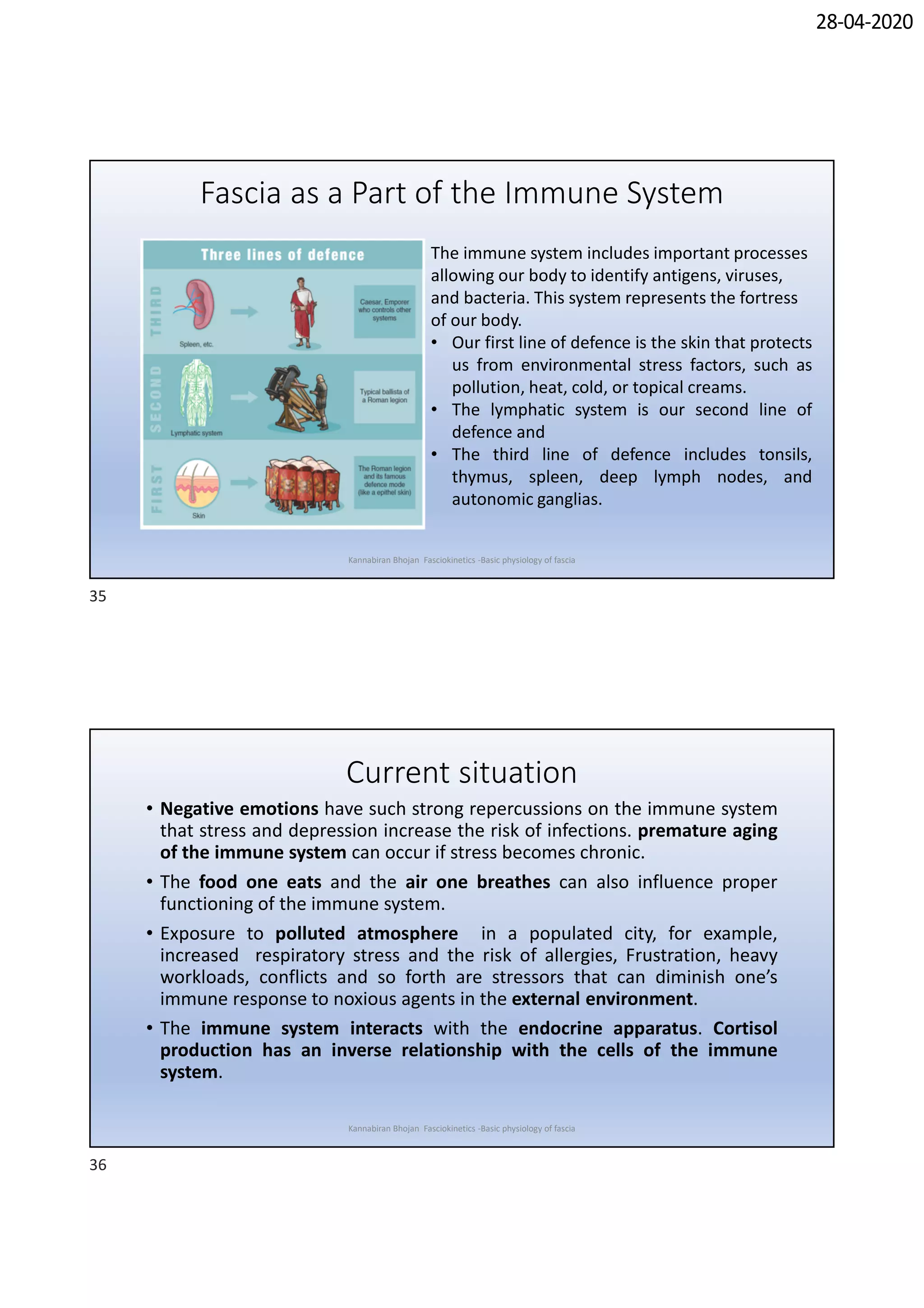 Physiology of fascia | PDF