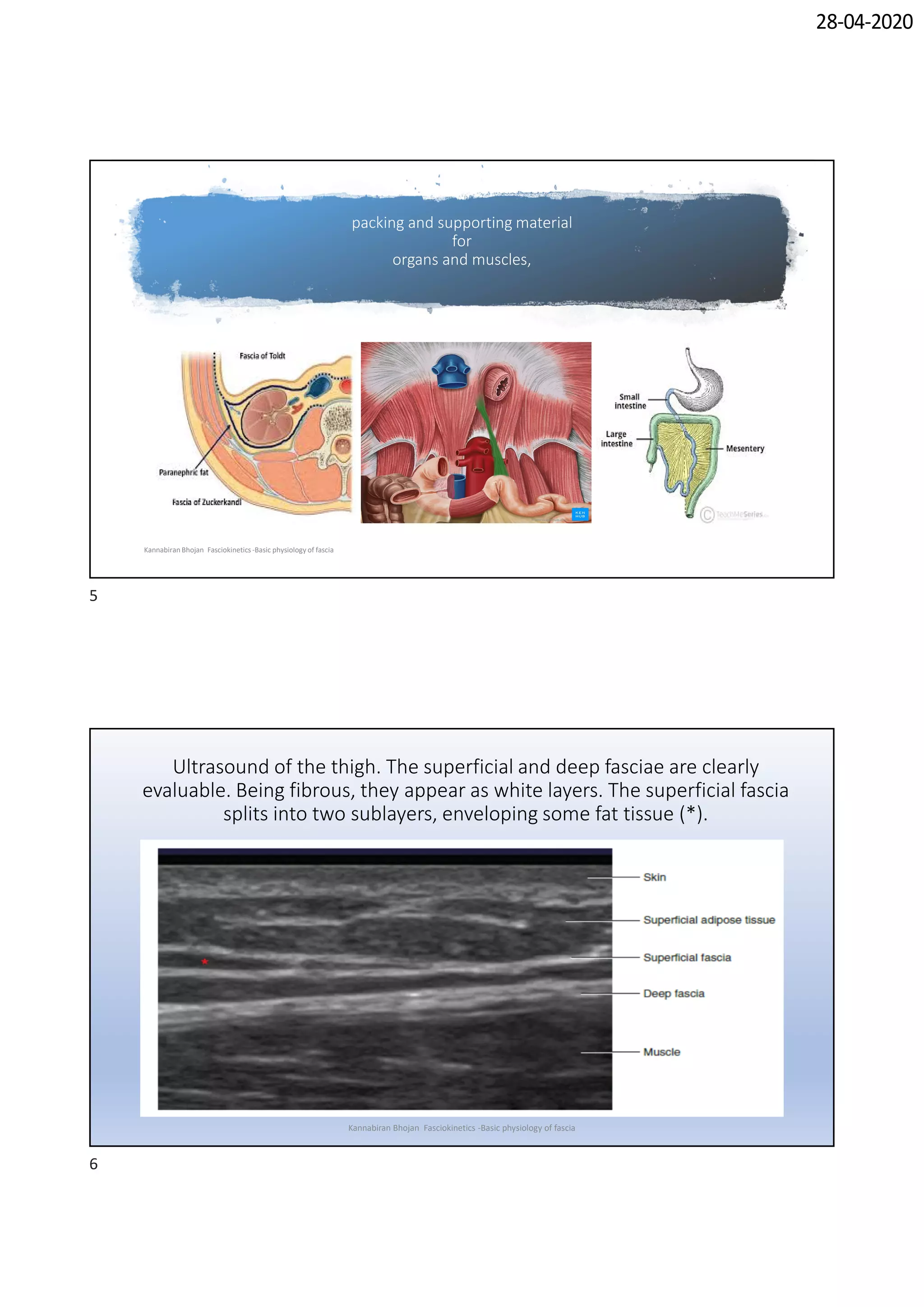 Physiology of fascia | PDF
