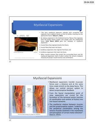 Physiology of fascia | PDF