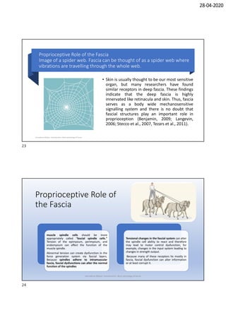 Physiology of fascia | PDF