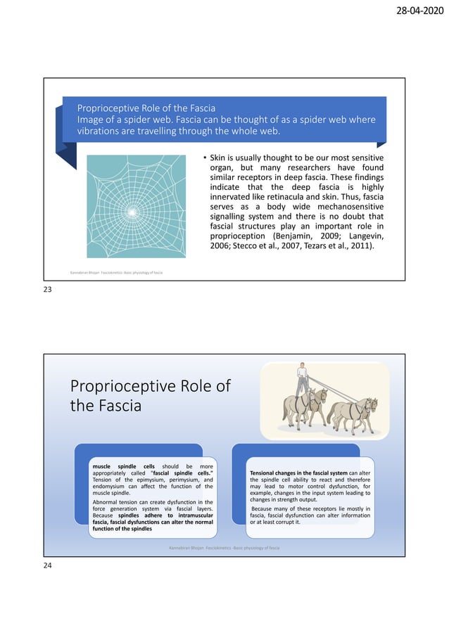 Physiology of fascia | PDF