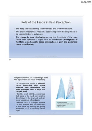 Physiology of fascia | PDF