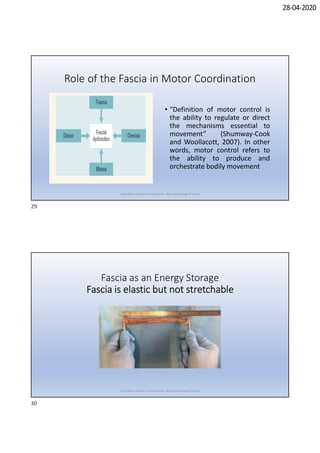 Physiology of fascia | PDF